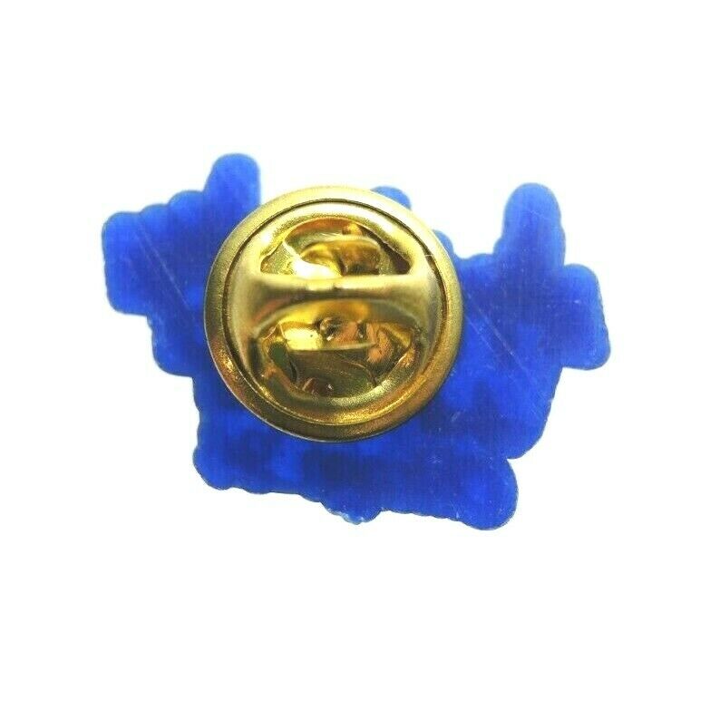 World Economic Forum WEF Chicago 1994 Blue Plastic Lapel Pin – Fazoom