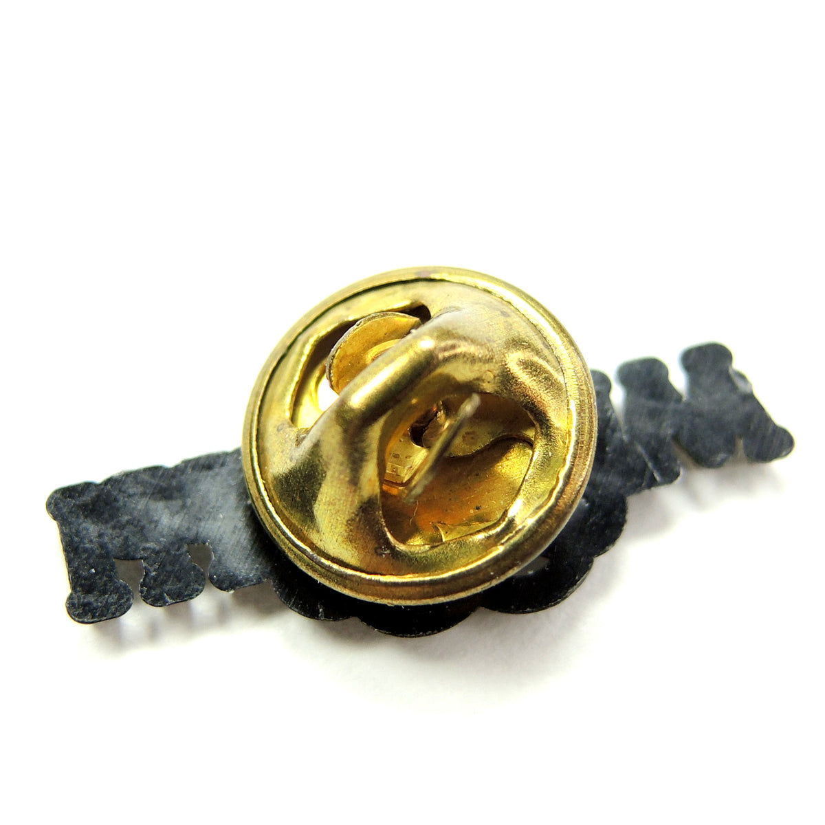 Mississippi Wordmark Plastic Lapel Pin – Fazoom